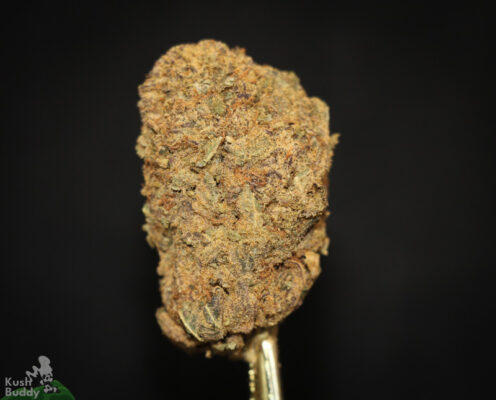 Buy Black Diamond Online – Bulk Weed Strain – Kush Buddy