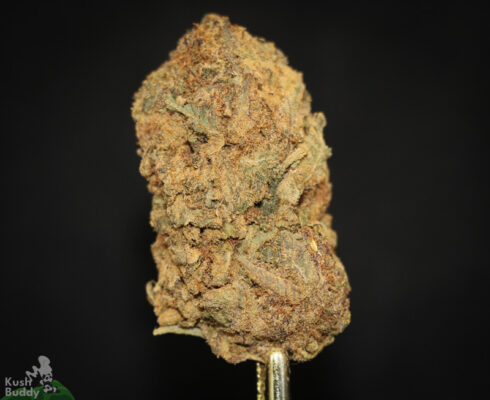 Buy Black Diamond Online – Bulk Weed Strain – Kush Buddy