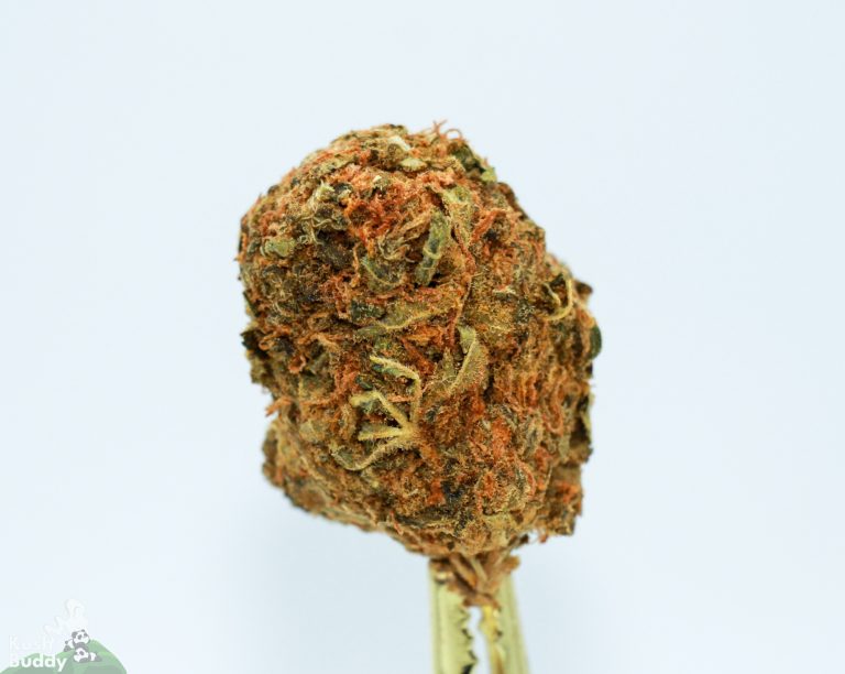 Buy Blueberry Online – Weed Strain – Kush Buddy