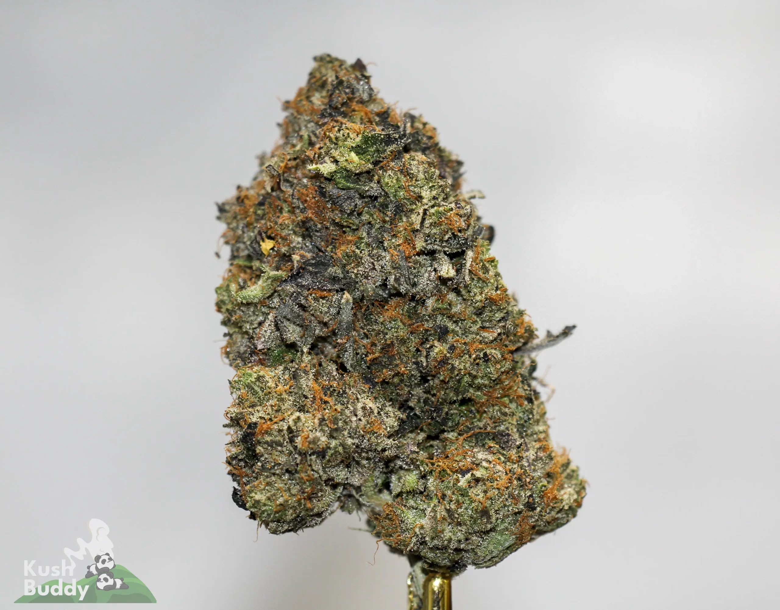 Darth Vader Strain – Buy Weed Online