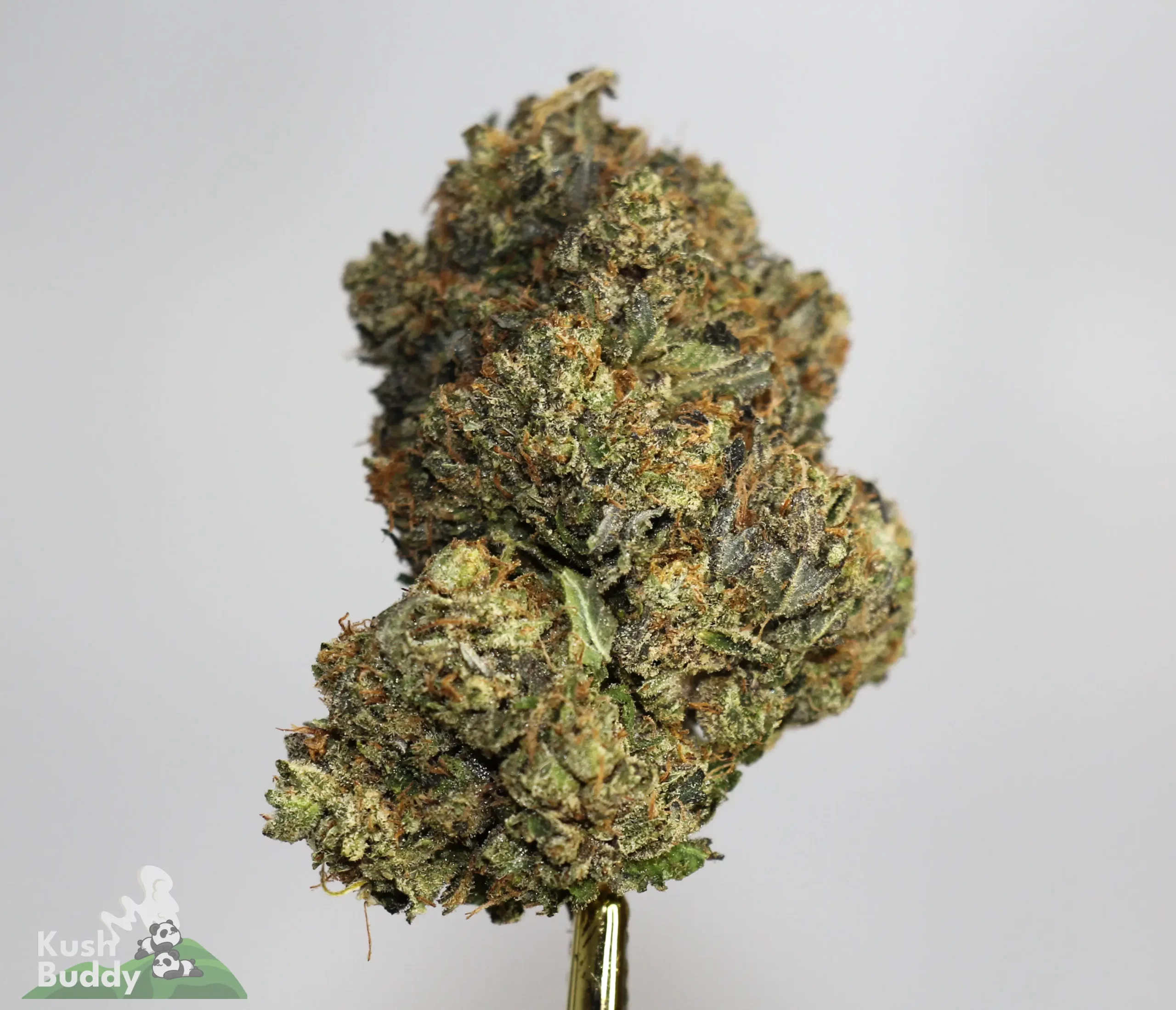 Pink Kush Strain – Buy Weed Online