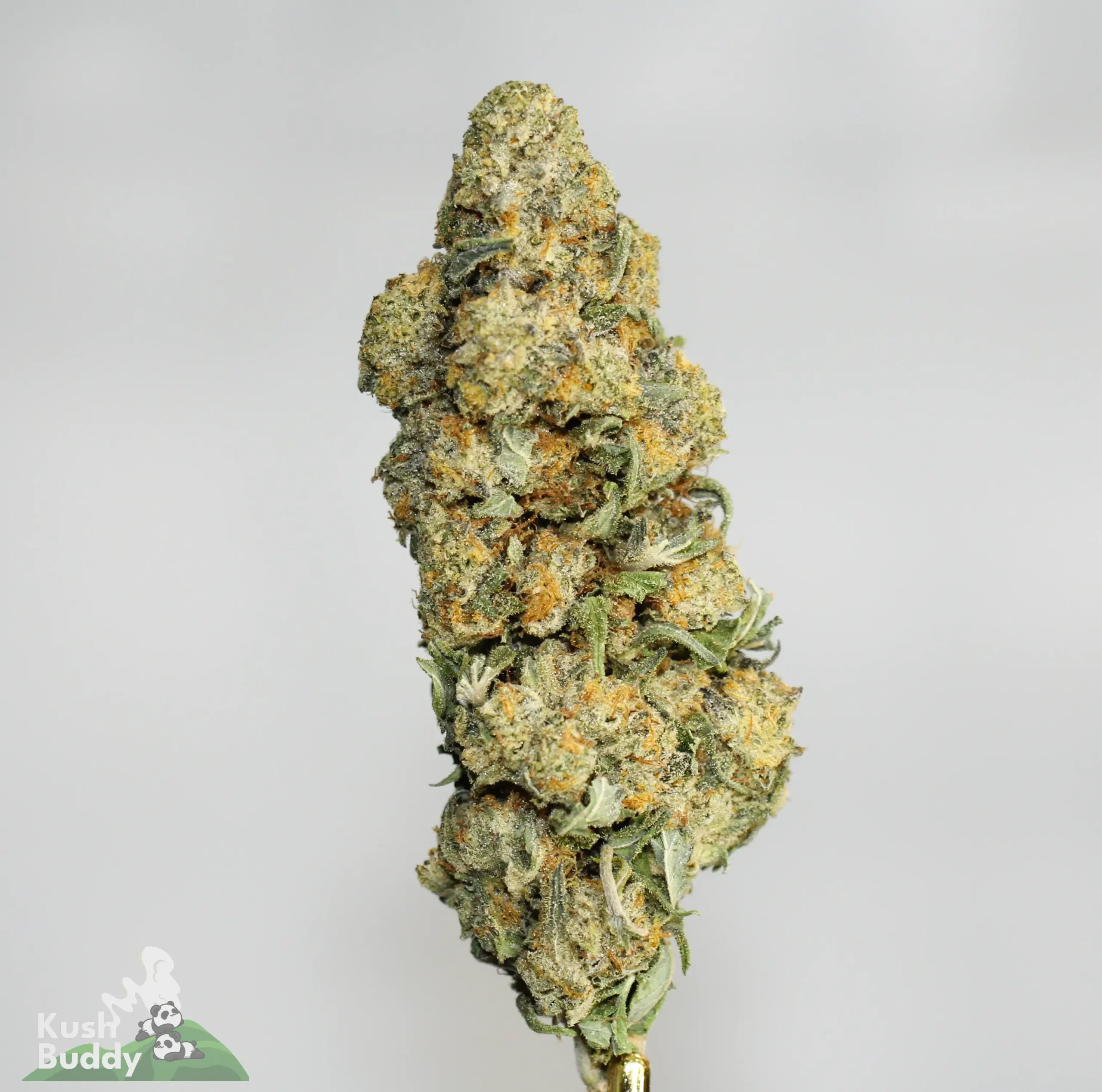 God's Green Crack Strain – Buy Weed Online