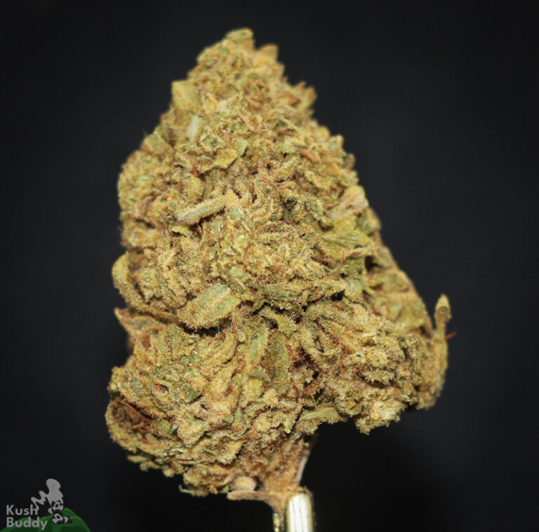 Buy Sour Diesel Online – Bulk Weed Strain – Kush Buddy