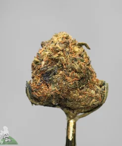 Purple Space Cookies – Buy Weed Online