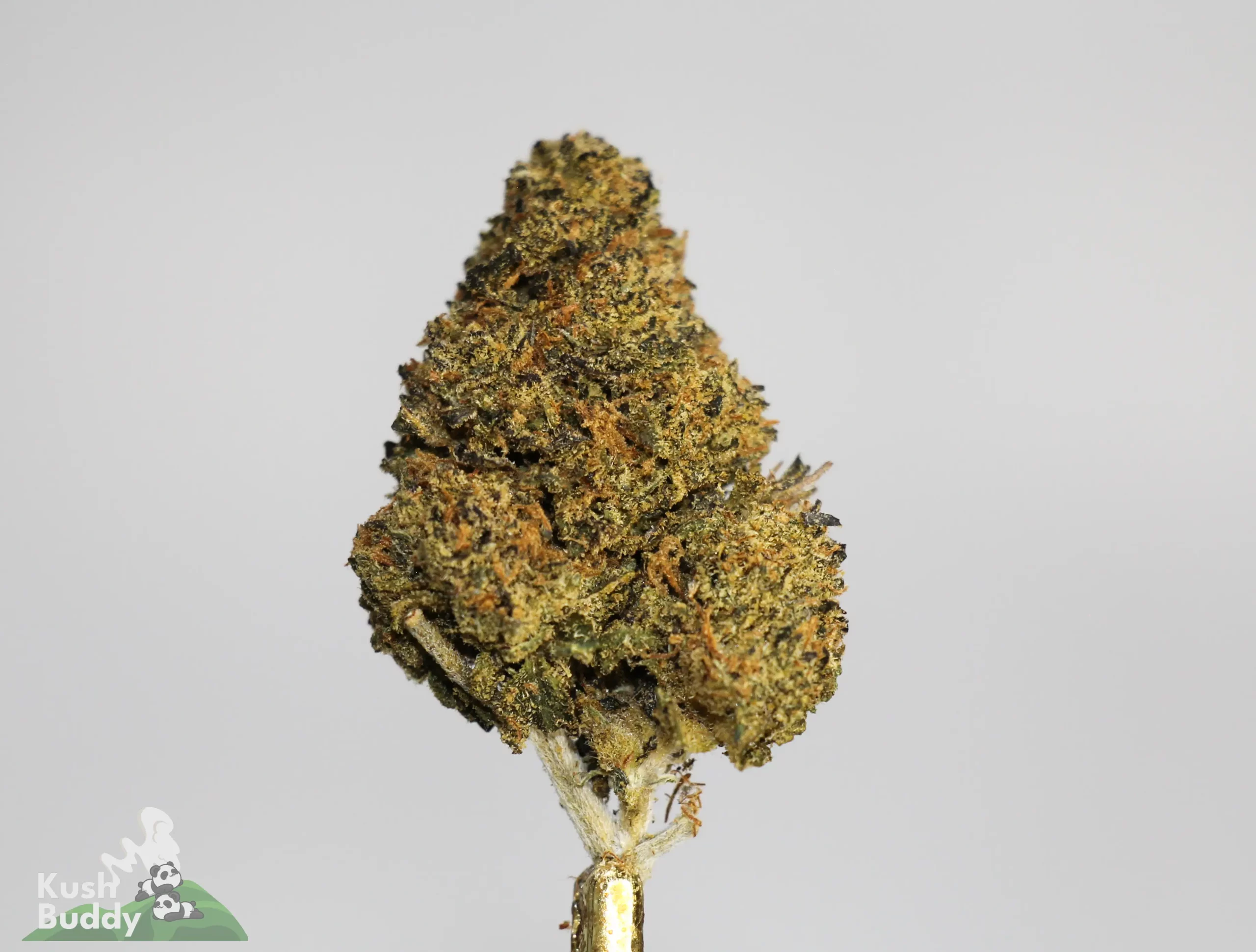 Purple Space Cookies – Buy Bulk Weed Online