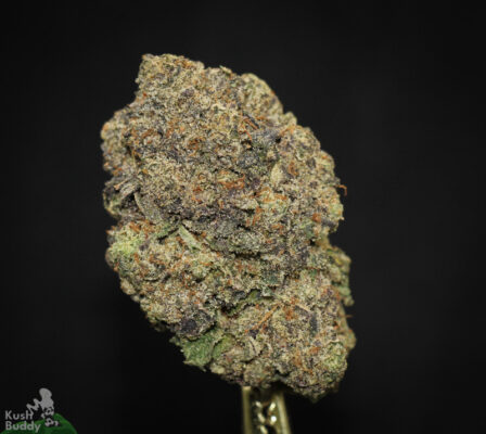 Buy Cali Bubba Kush Online – Weed Strain – Kush Buddy