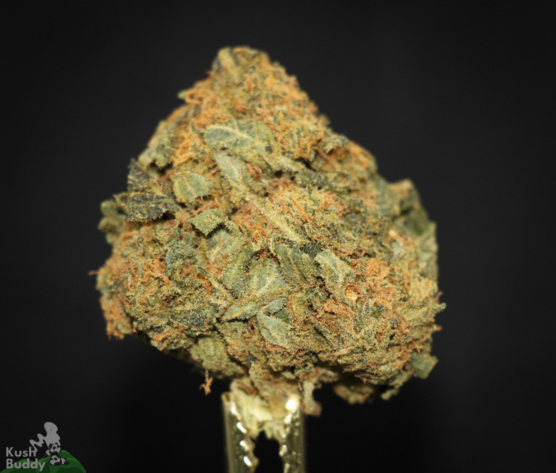Buy Super Pink Online – Weed Strain – Kush Buddy