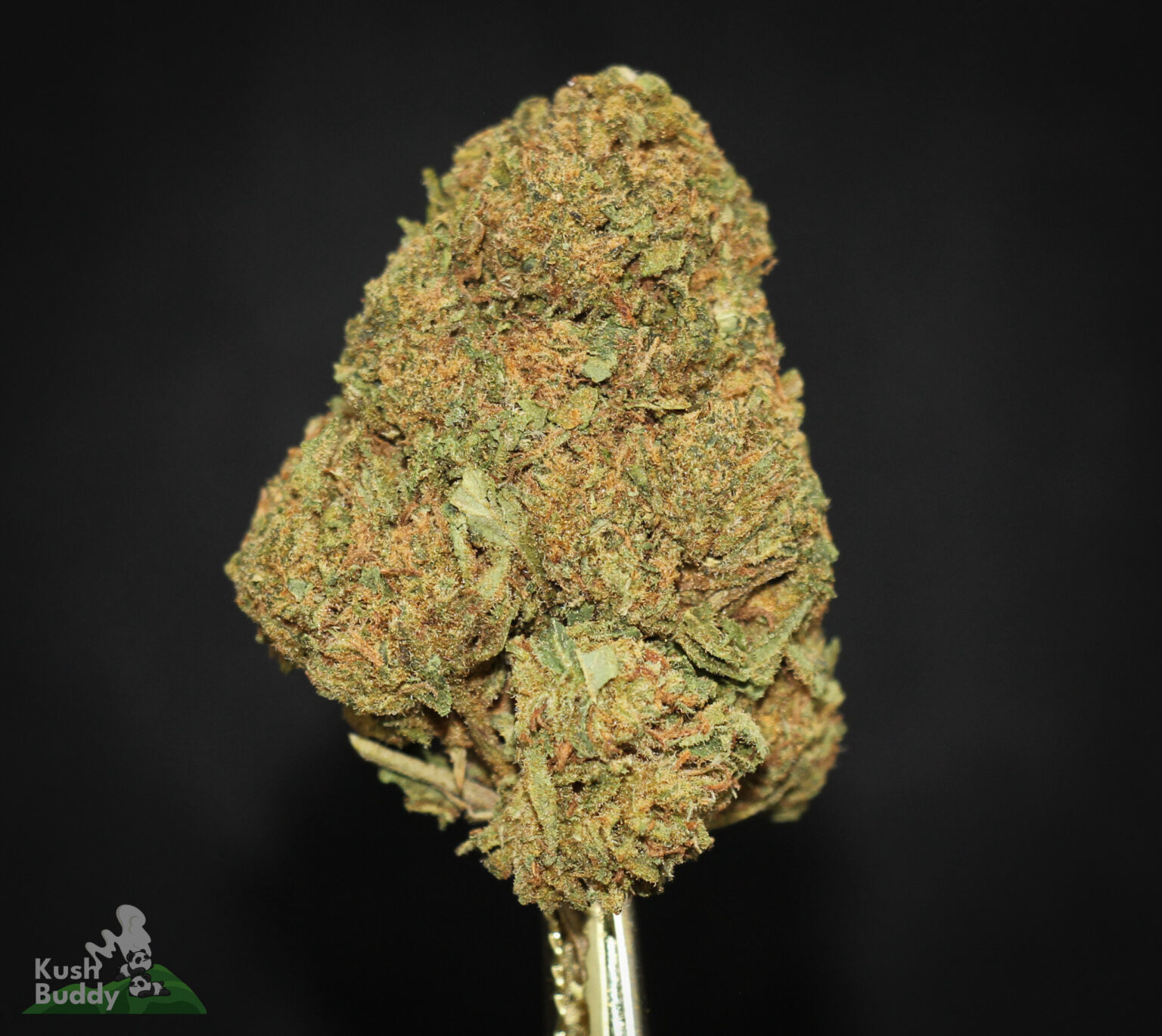 Buy Pink Sticky Icky Online – Weed Strain – Kush Buddy