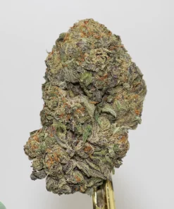 Buy Mandarin Cookies Online – Weed Strain – Kush Buddy