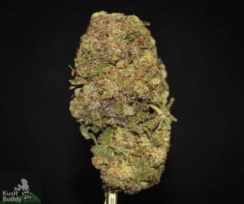 Buy Dior Death Bubba Online – Weed Strain – Kush Buddy