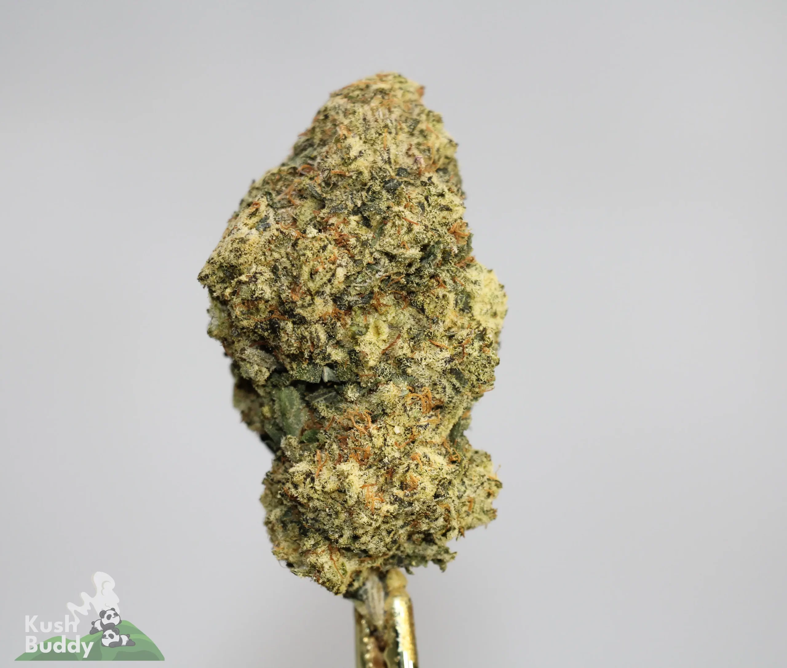 Super Lemon Haze Strain – Buy Bulk Weed Online