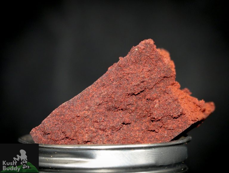 Buy Kashmir Hash – Imported Premium Hash – Kush Buddy