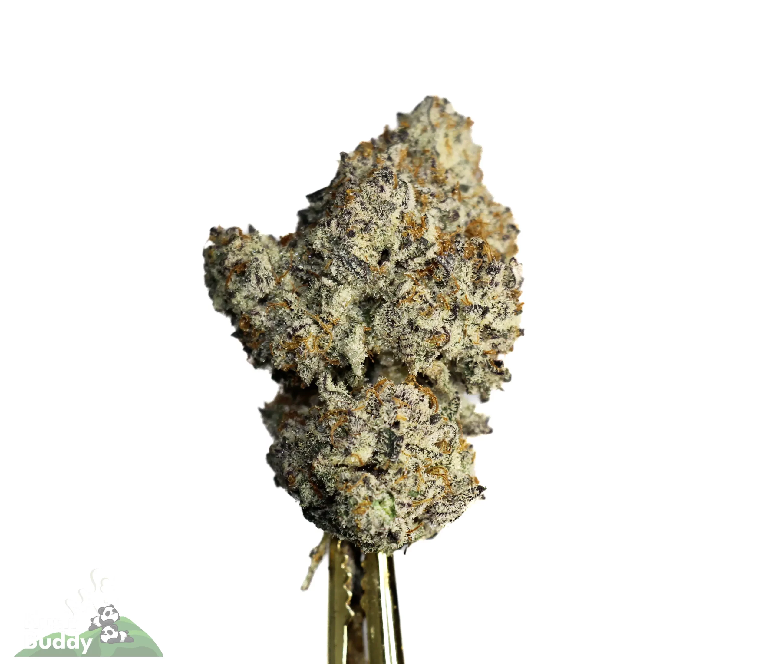 Trunk Funk Strain – Buy Weed Online