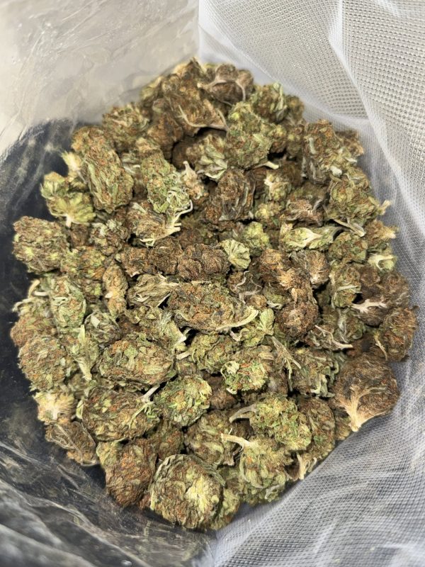Cinderella 99 Strain – Buy Bulk Weed Online