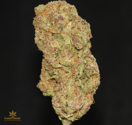 Buy Fruit Cake Online – Bulk Weed Strain – Kush Buddy