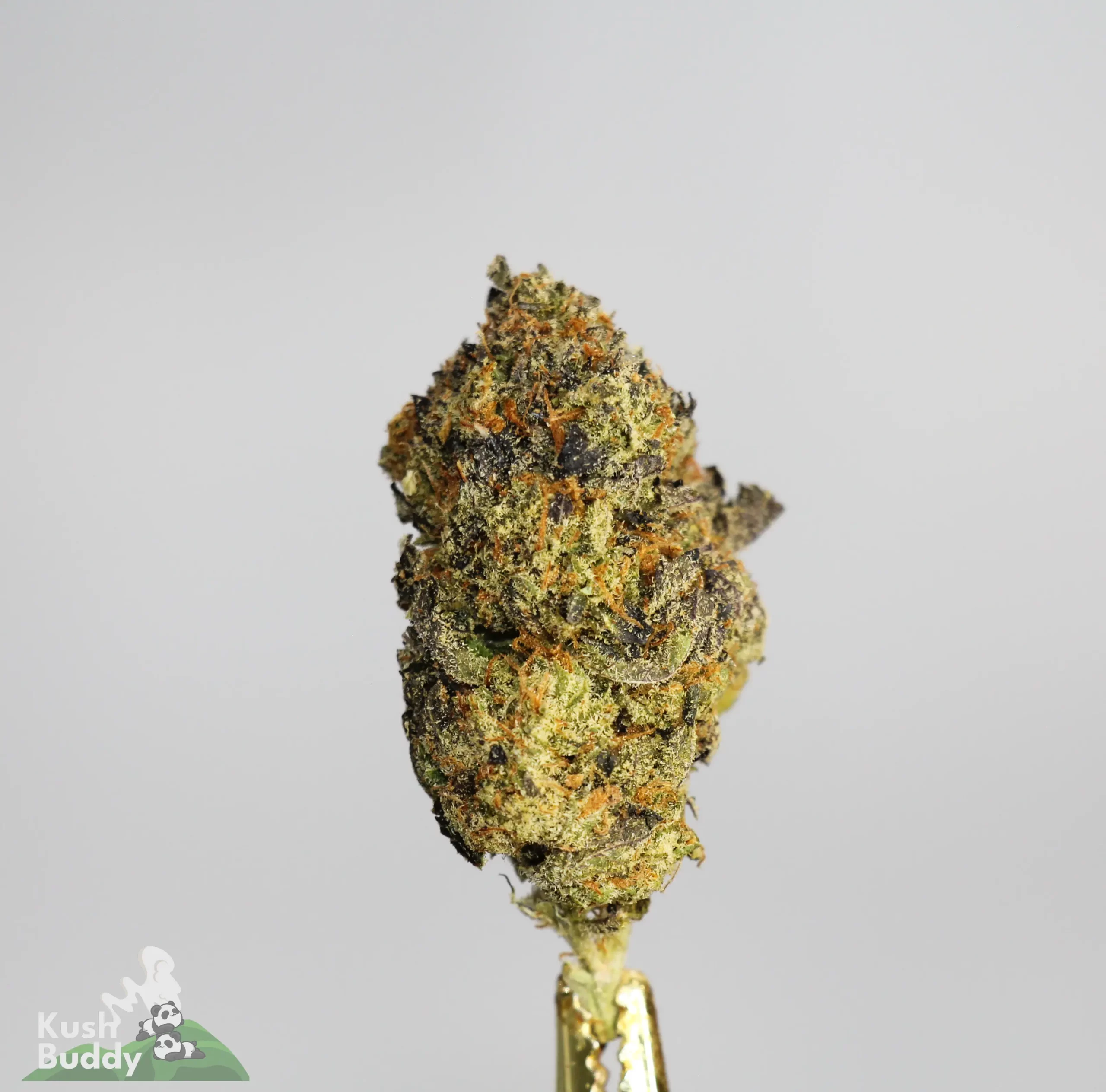 Grinch Thunderfuck Strain – Buy Weed Online