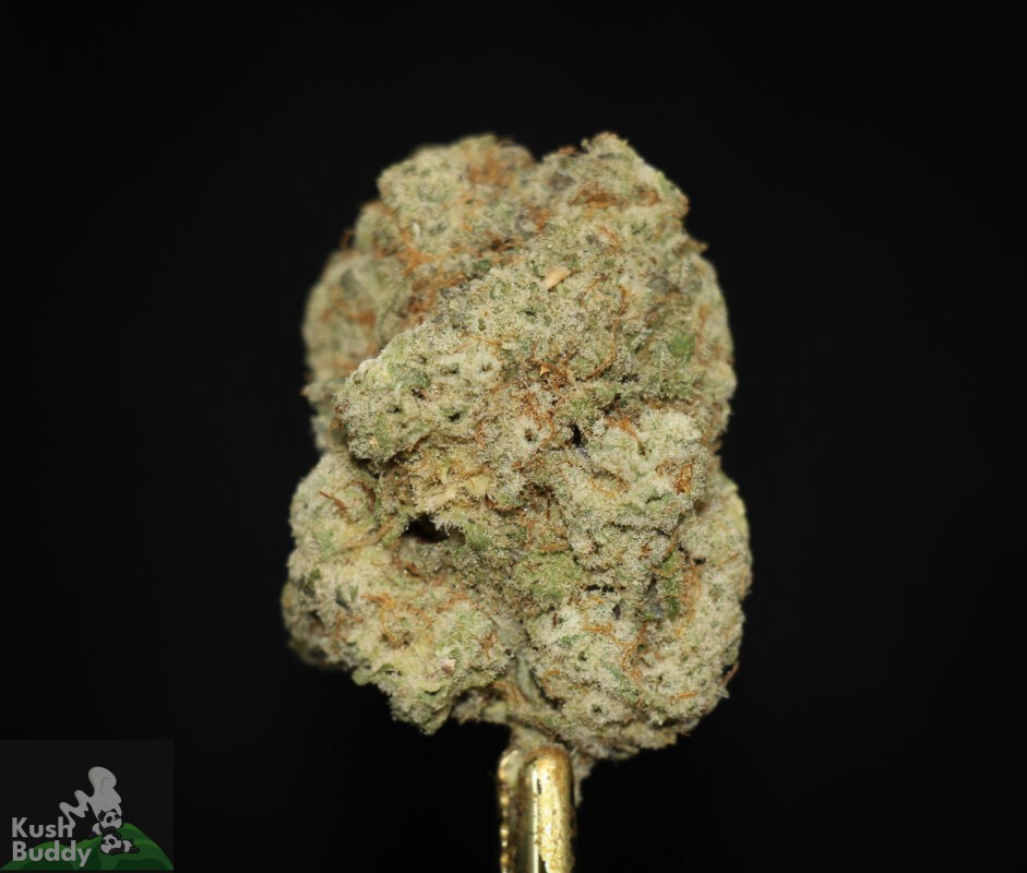 Buy Wizard Cookies Online – Weed Strain – Kush Buddy