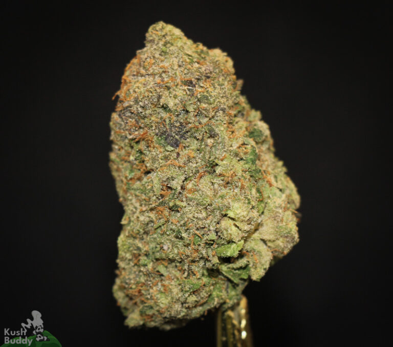 Buy Pink Goo Online – Weed Strain – Kush Buddy