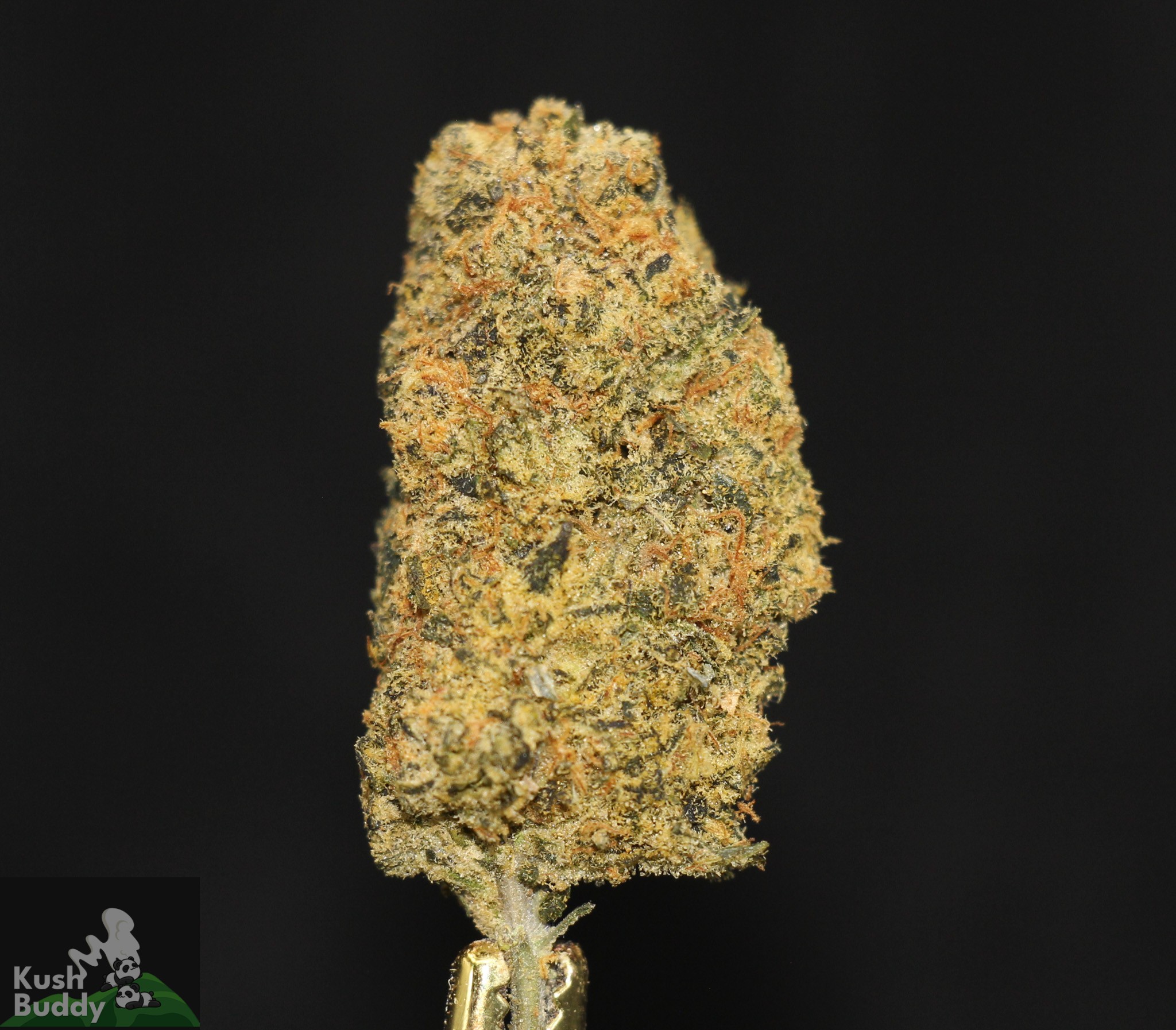 Buy Cactus Breath Online – Weed Strain – Kush Buddy