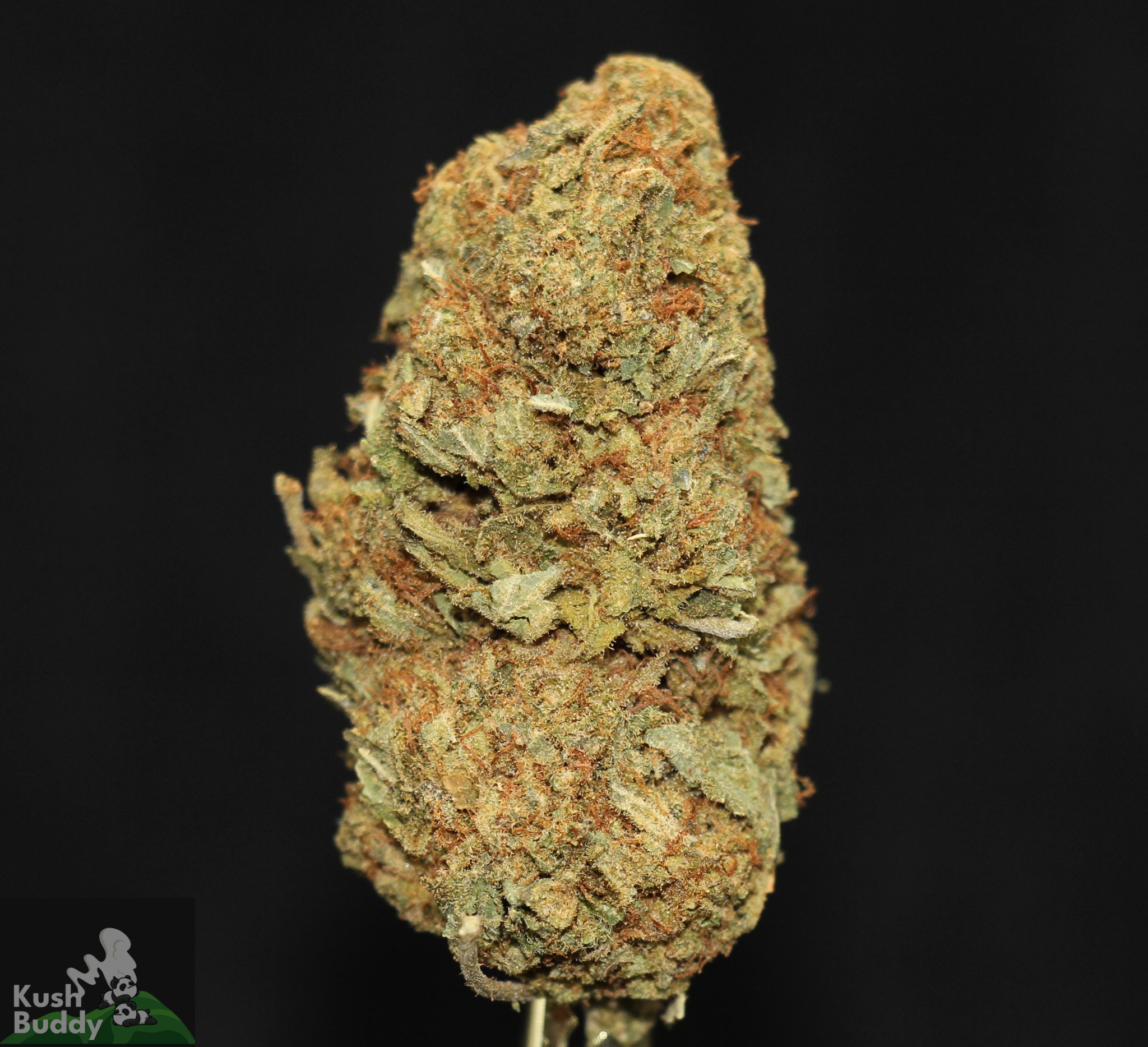 Buy Cactus Breath Online – Bulk Weed Strain – Kush Buddy