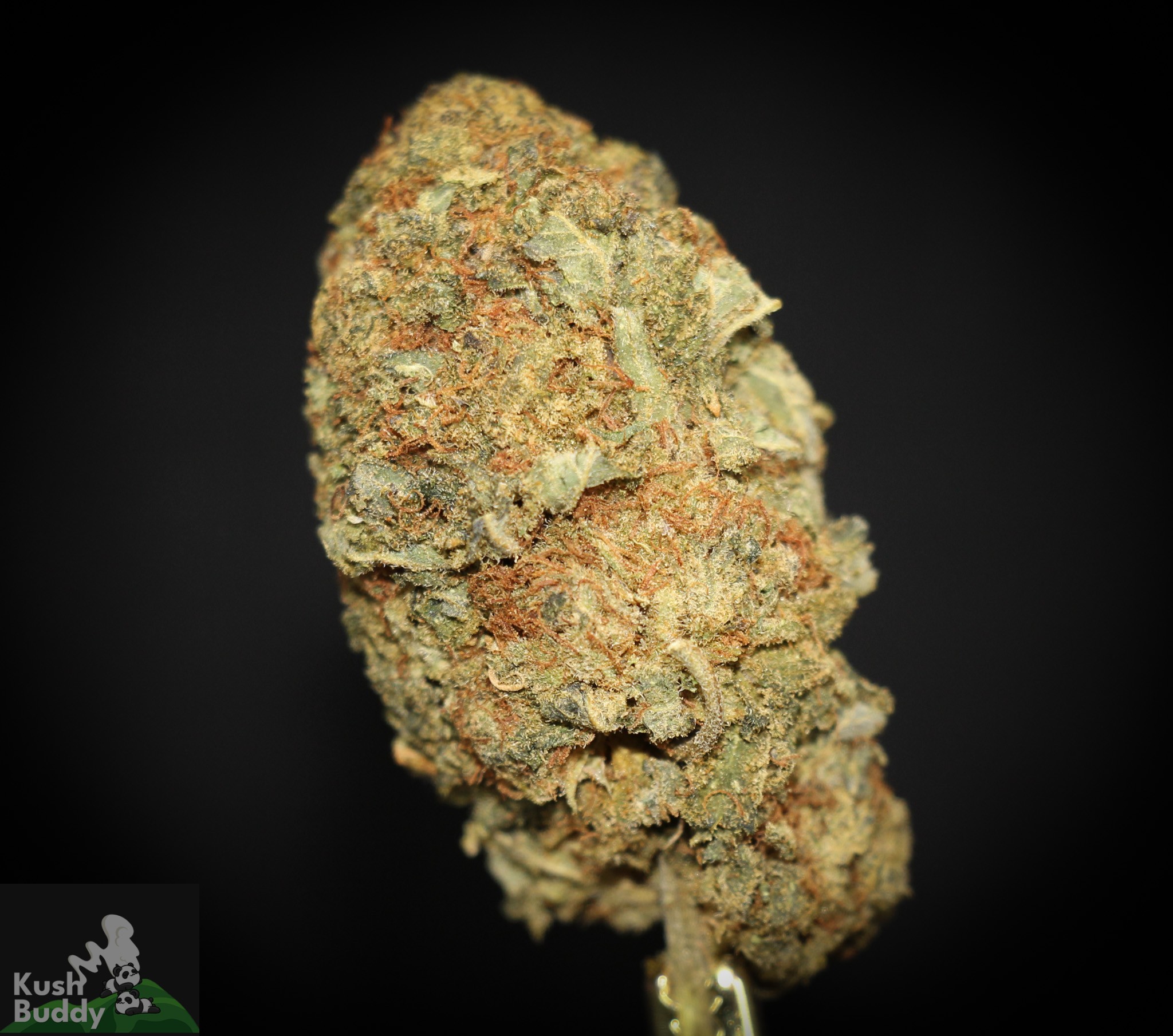 Buy Cactus Breath Online – Bulk Weed Strain – Kush Buddy
