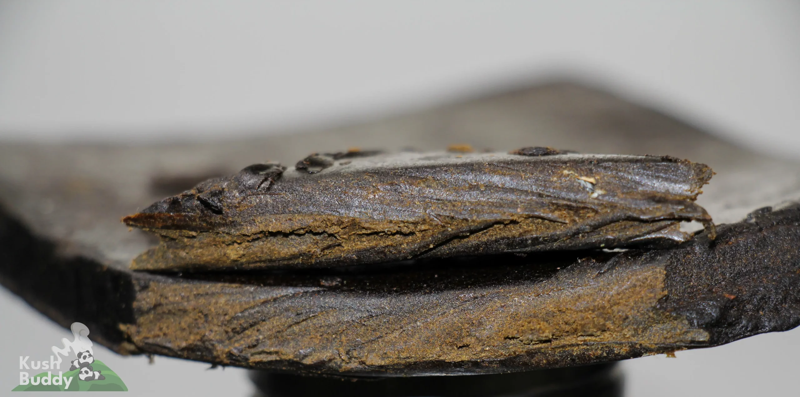 Moroccan Hash – Buy Hash Online