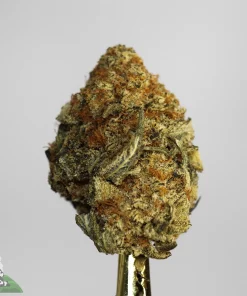 Sundae Driver Strain – Buy Weed Online