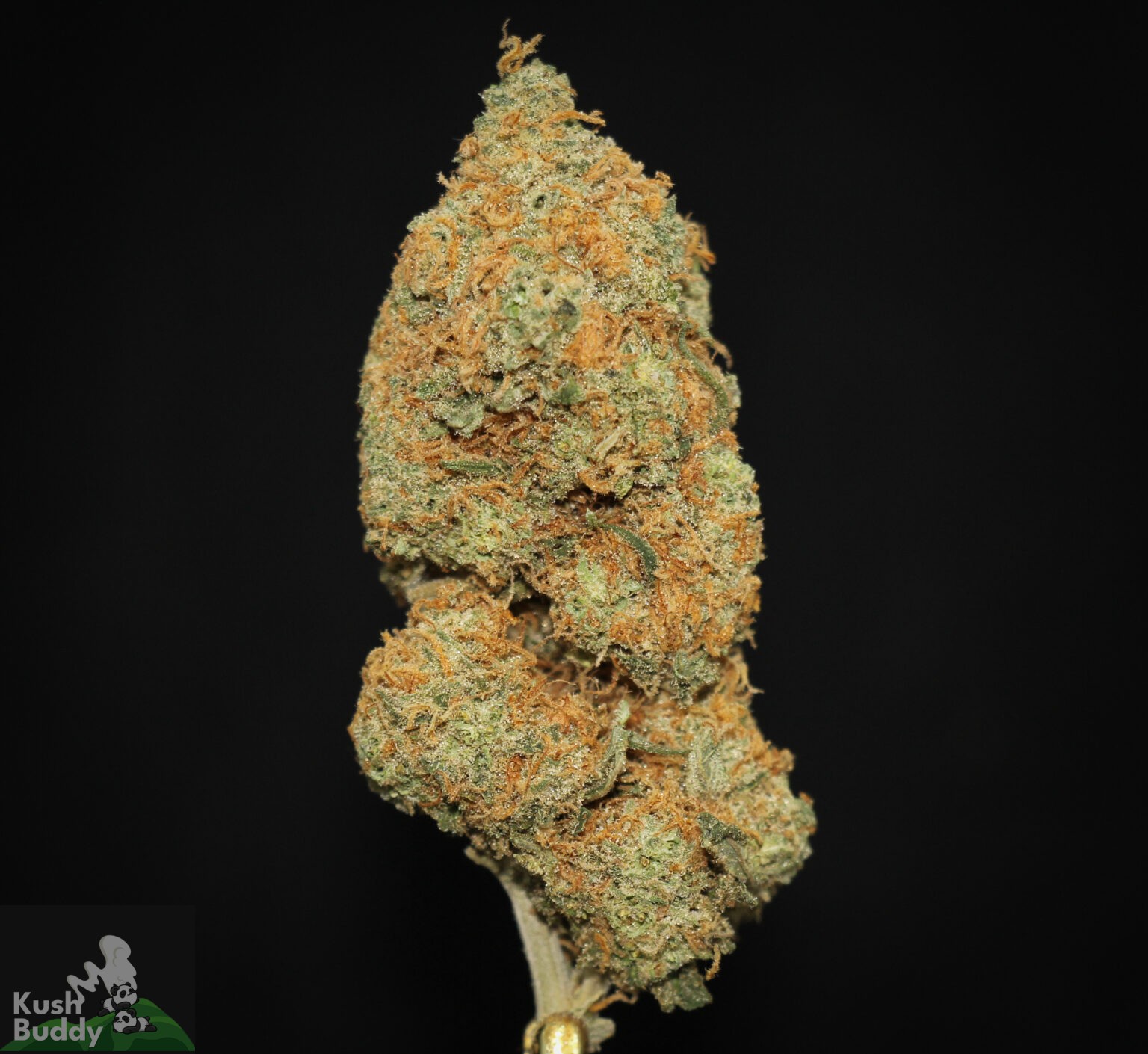 Buy Sundae Driver Online – Bulk Weed Strain – Kush Buddy