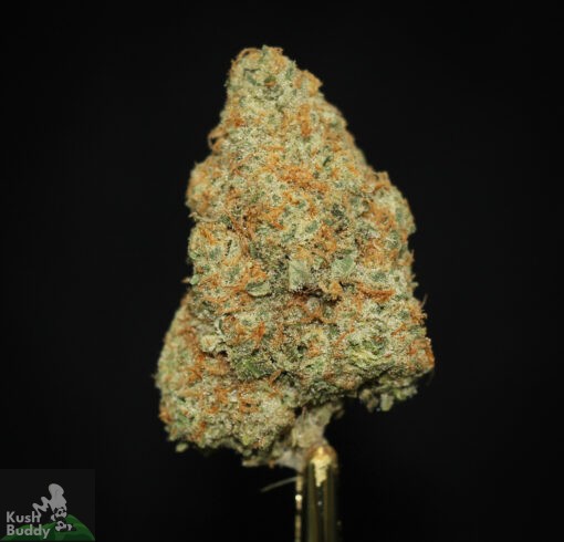 Buy Sundae Driver Online – Bulk Weed Strain – Kush Buddy