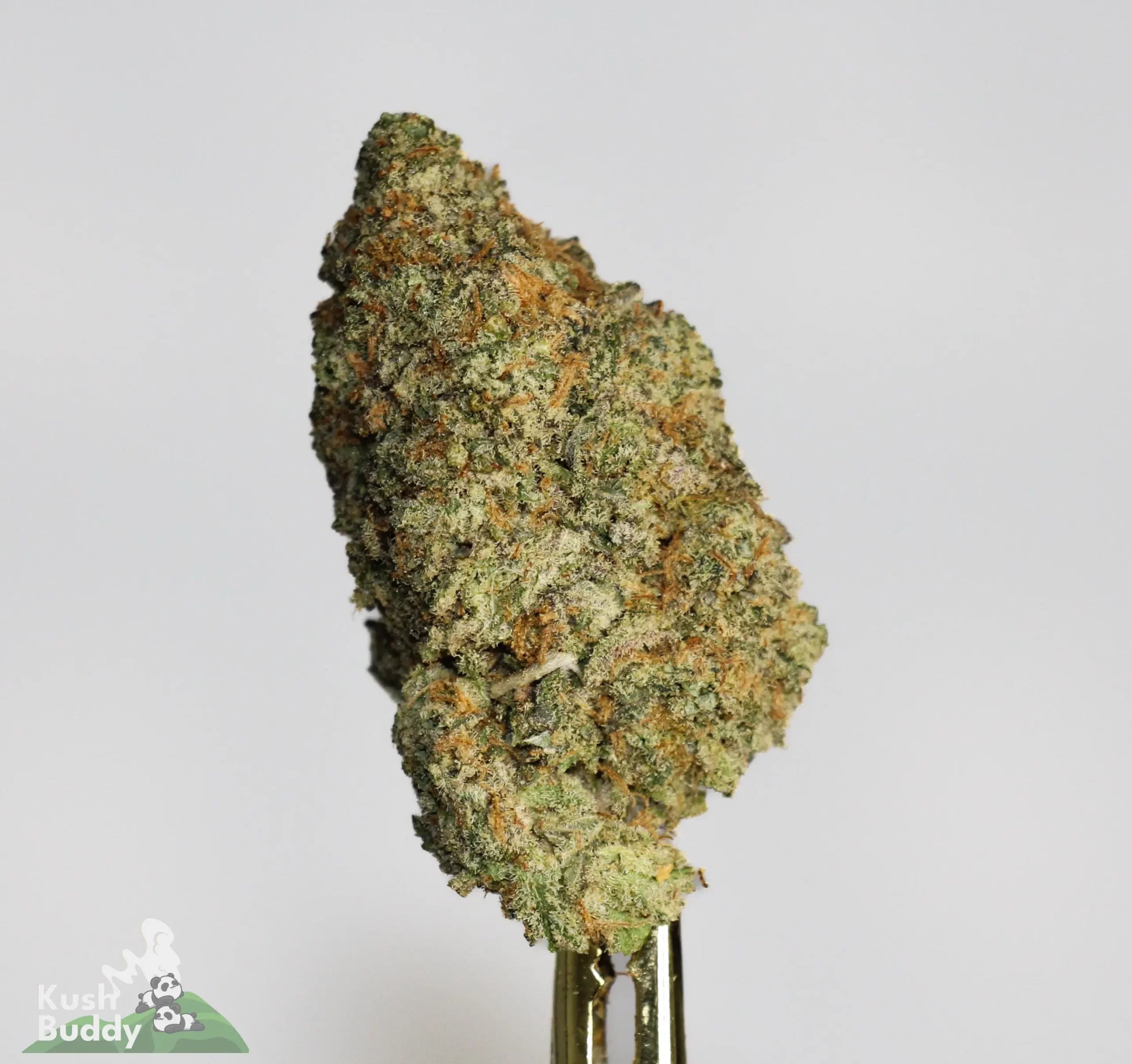 Khalifa Mints Strain – Buy Weed Online
