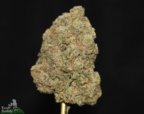 Buy Khalifa Mints Online – Headwater Cannabis – Kush Buddy