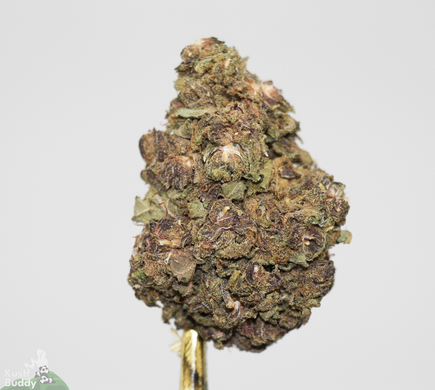 Buy Black Diamond Online – Weed Strain – Kush Buddy