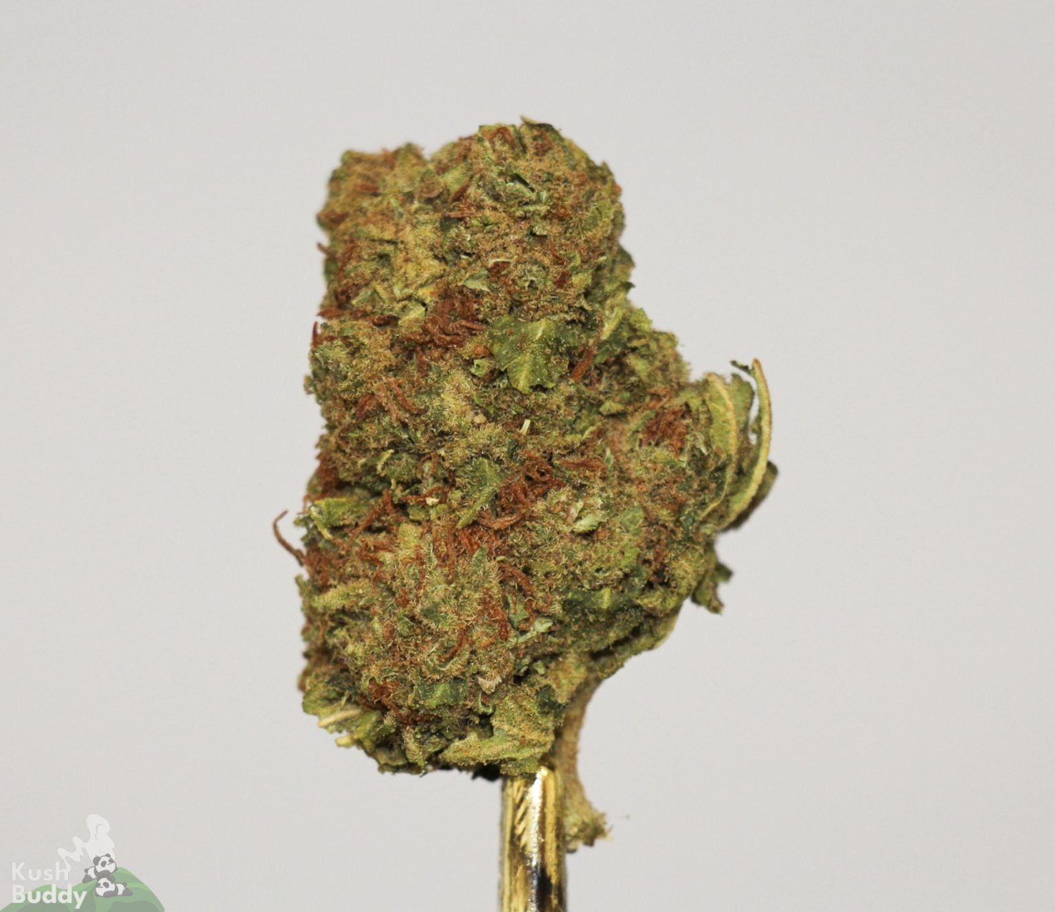 (AAA) Pink Candy – Buy Weed Online