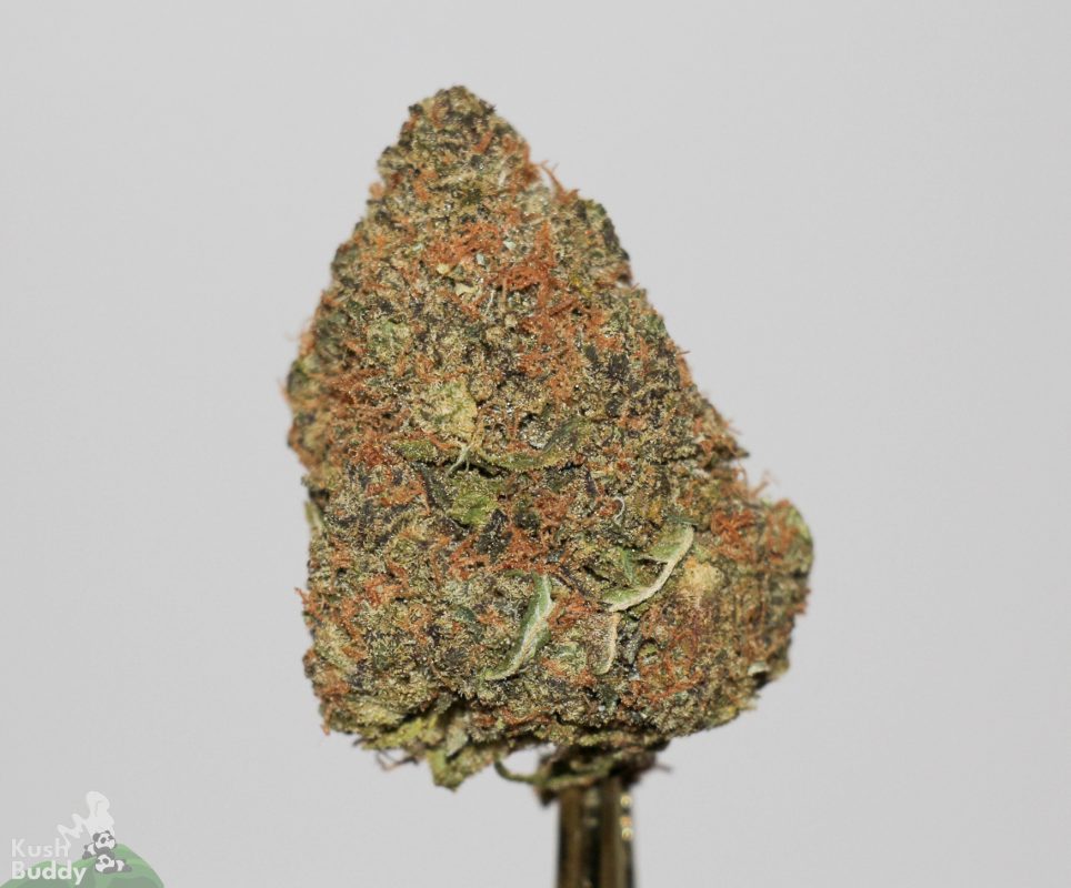 Black Series – Pink Gelato – Buy Weed Online