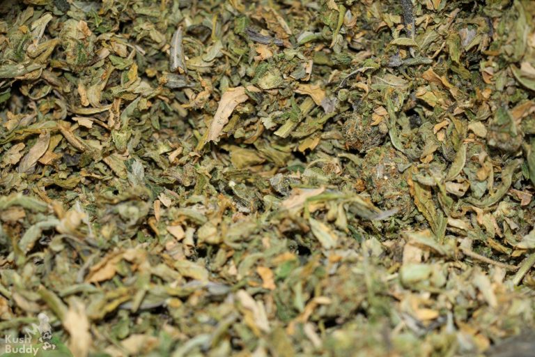 Buy Weed Shake – Premium Shake Blend – Kush Buddy