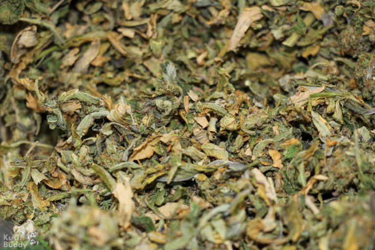 Buy Weed Shake – Premium Shake Blend – Kush Buddy