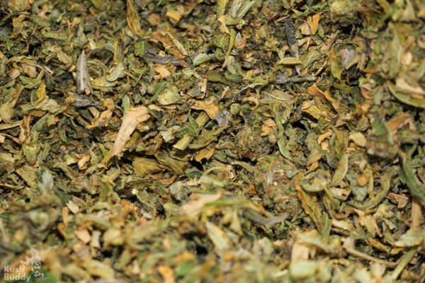 Buy Weed Shake – Premium Shake Blend – Kush Buddy