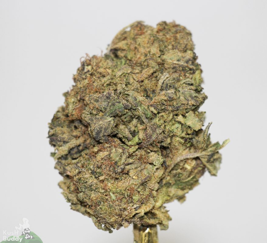 Buy Purple Space Cookies Online – Bulk Weed Strain – Kush Buddy