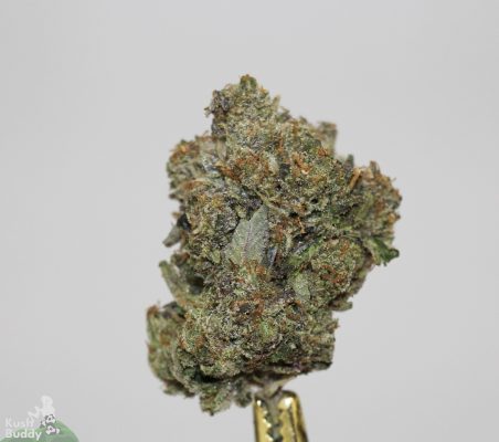 Black Series – Bulk – Tom Ford Pink Kush – LSO – Cannabis Dispensary ...