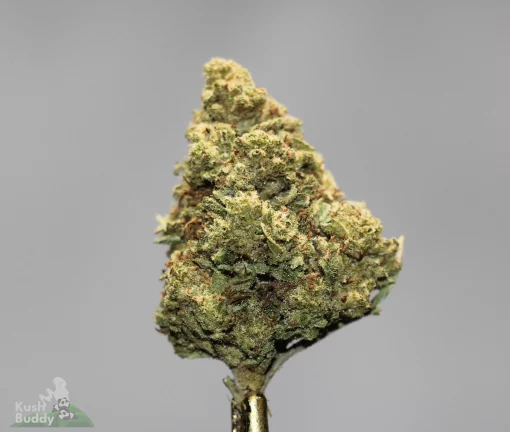 Blueberry – Buy Weed Online