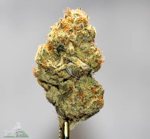 Lamb's Bread – Buy Weed Online