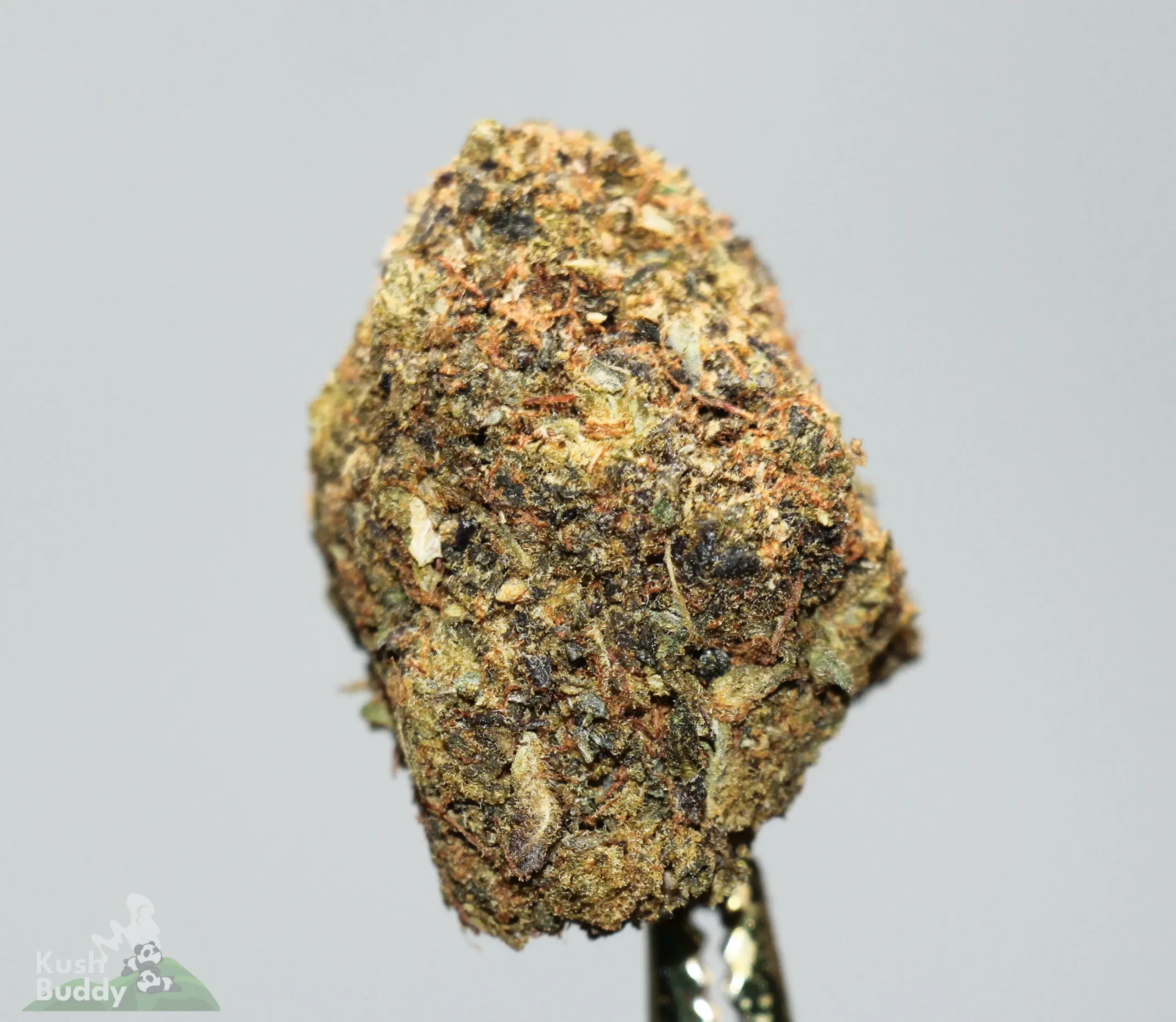 Red Congolese – Buy Weed Online