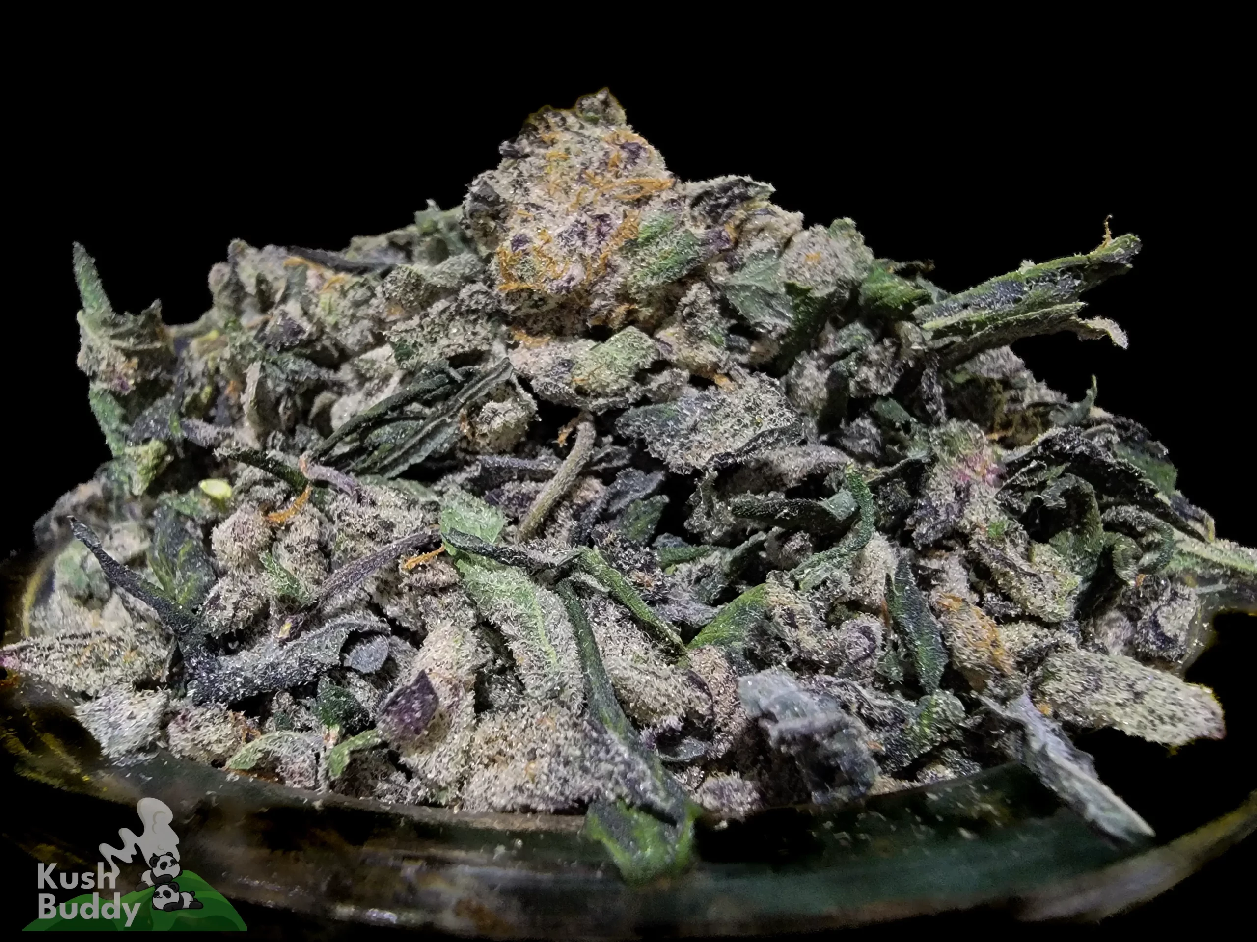 Elite Cannabis Shake (Special Reserve) – Buy Weed Online