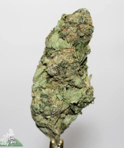 Very Berry Haze Strain – Buy Weed Online