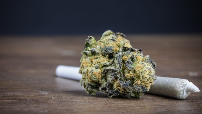 Kush Buddy – Buy Weed Online – Same Day Toronto Delivery