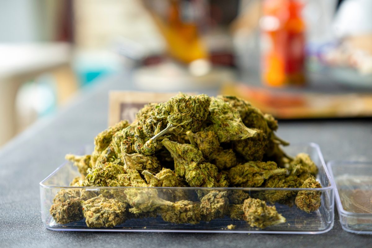 How to Pick a Bulk Weed Dispensary Online